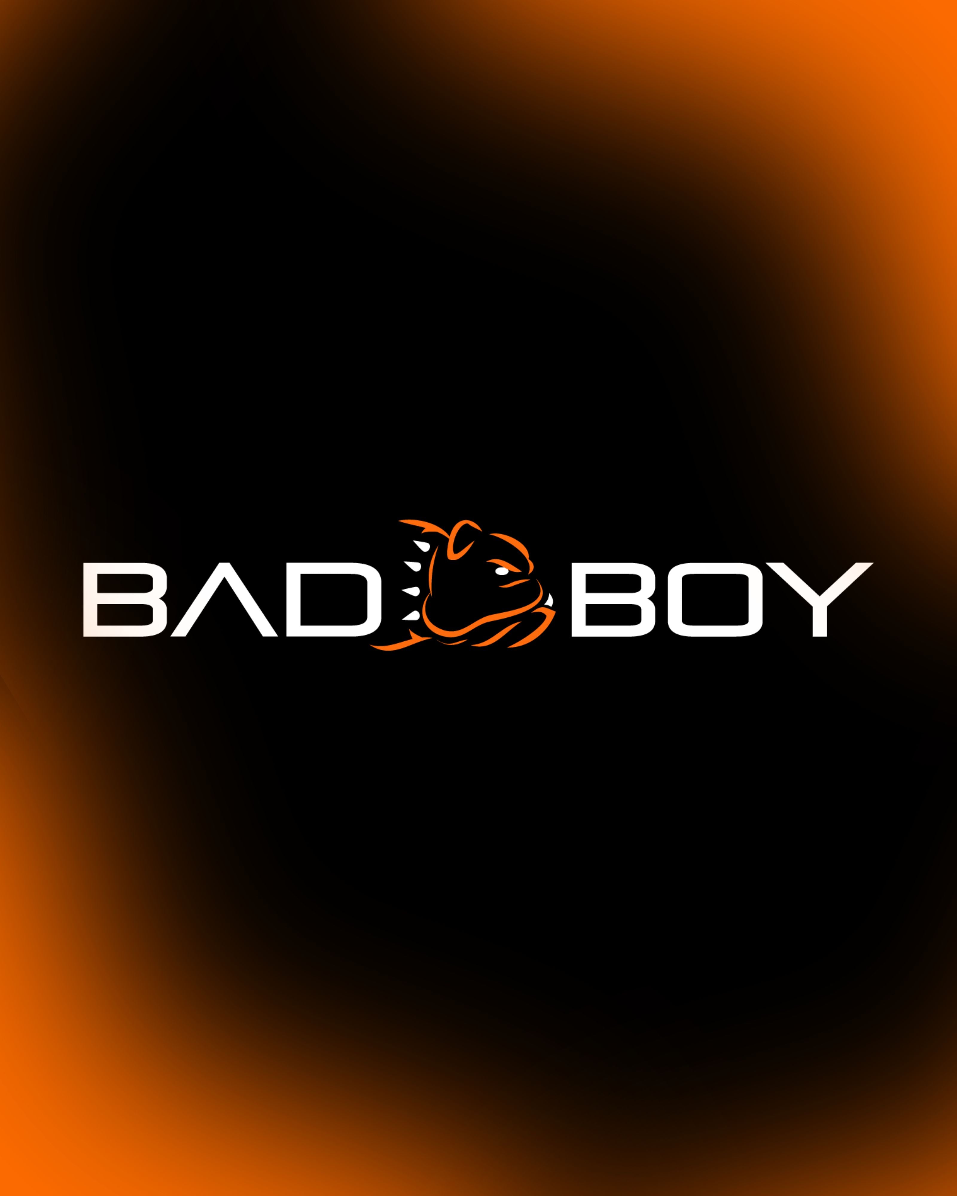 Bad Boy – DINO Parts Online